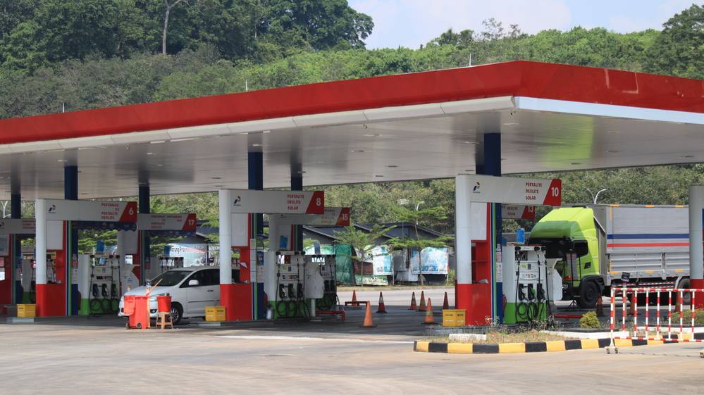 Biofuels' Role in Achieving Net-Zero Emissions by 2050