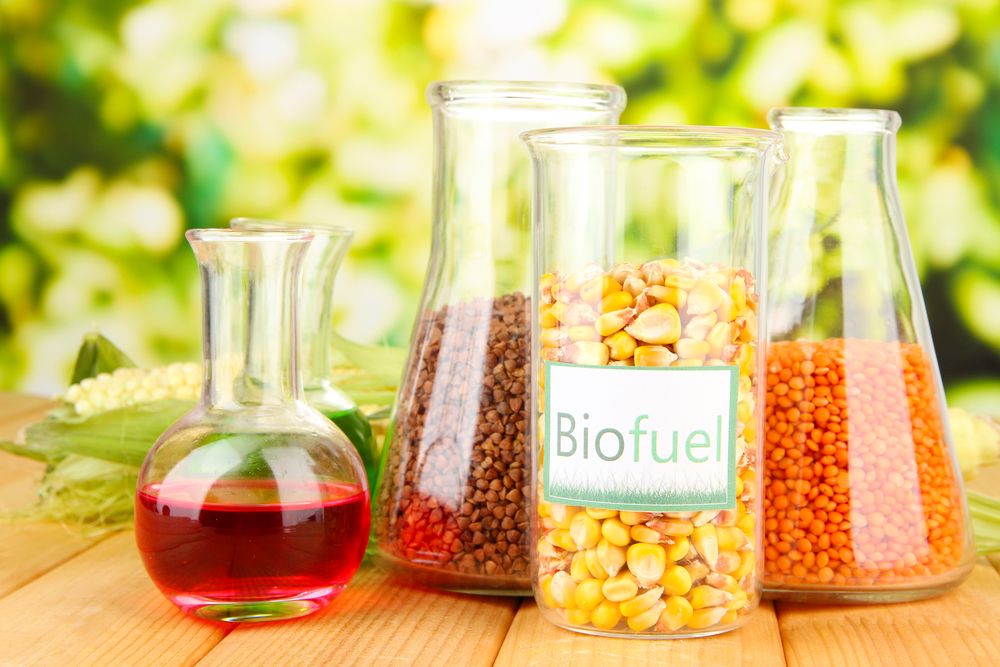 Biofuels Resurgence: A Sustainable Energy Chapter